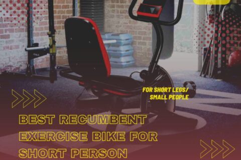 How To Flex Your Pecs & Build Great Muscle Pecs in 2024 - Boston Rock Gym