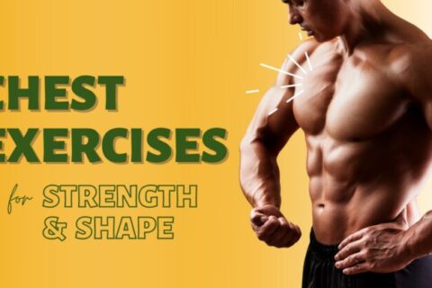 How to Build Muscle Around the Ribs? - Best Exercises for Straighten ...