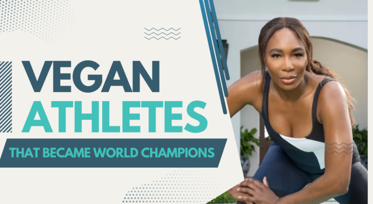Meet These 6 Vegan Athletes That Became World Champions!