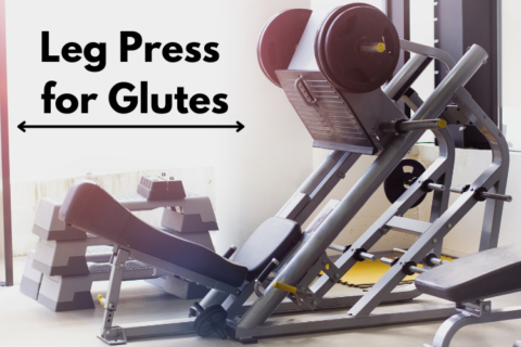 How To Flex Your Pecs & Build Great Muscle Pecs in 2024 - Boston Rock Gym