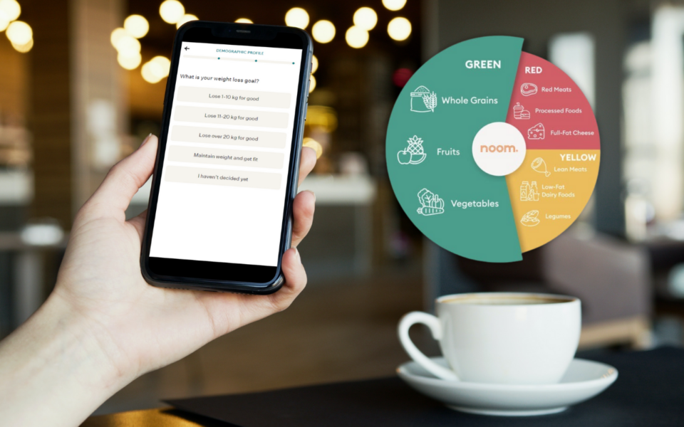 Noom Diet Plan: What to Expect? - In-depth Analysis