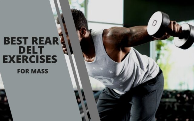 8 Best Rear Delt Exercises for Mass 2024 - Use At Home and In The Gym