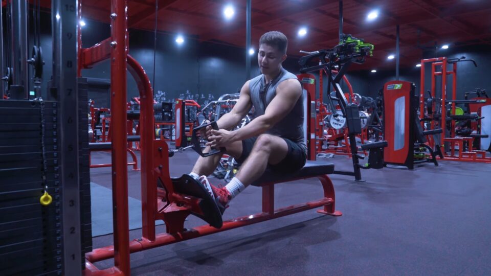 10 Best Side Delt Exercises for Wide Shoulders - Find the Appropriate ...