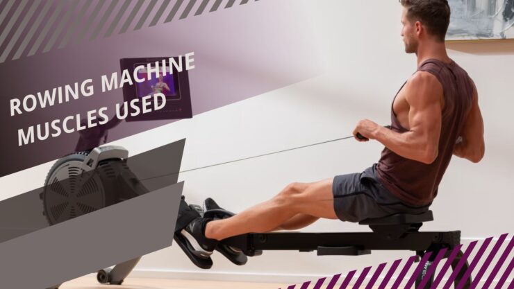 Rowing Machine Muscles Used - Maximize Your Workout - Boston Rock Gym