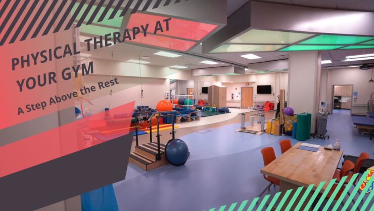 Why You Should Consider Offering Physical Therapy At Your Gym? A Step ...